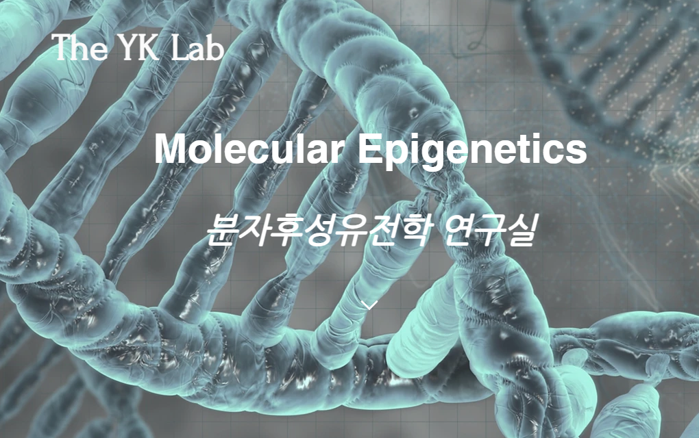 DGIST Scholar: 김유리
